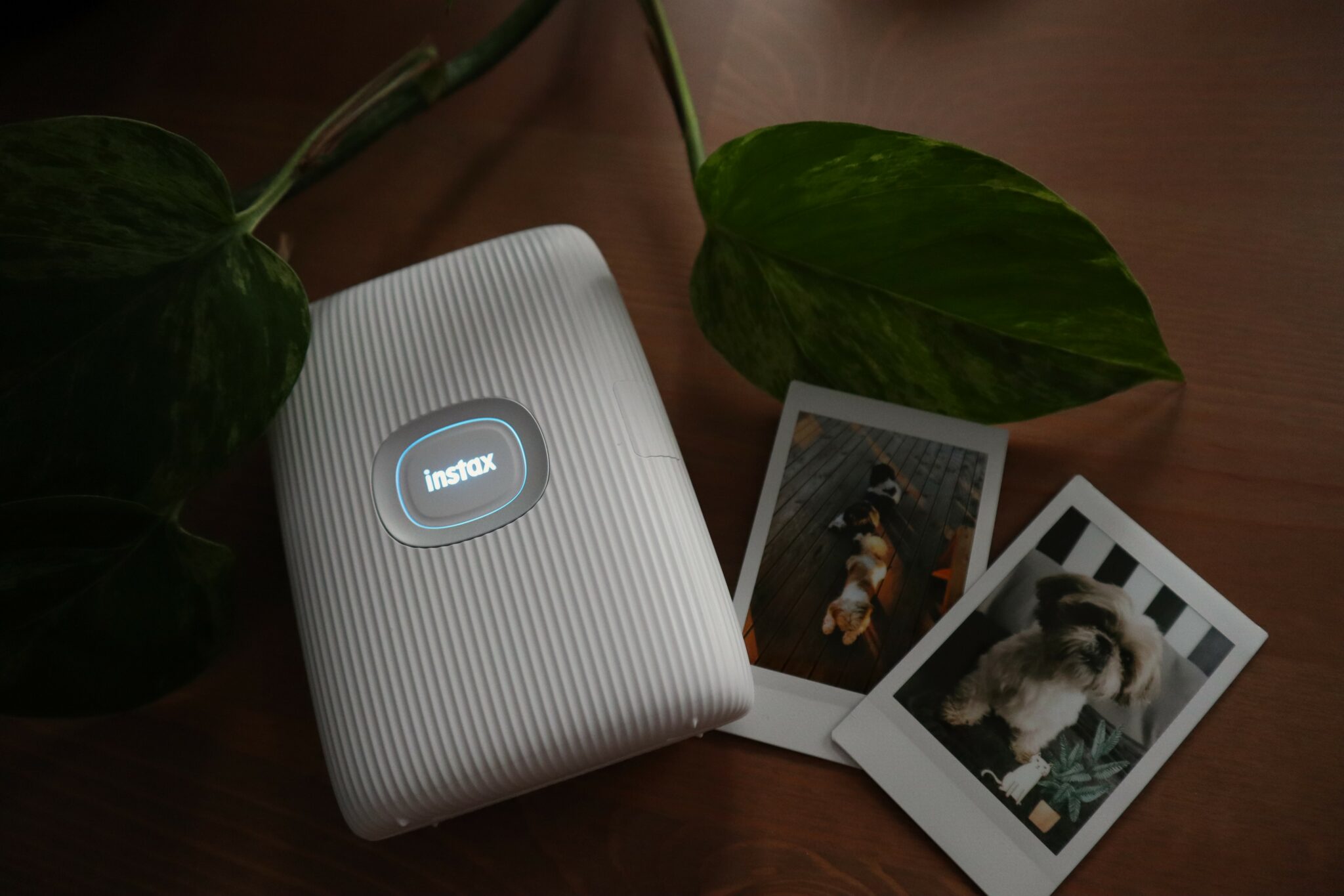 Wyjątkowa nowość od Fujifilm – drukarka instax mini Link 2 · Testoria